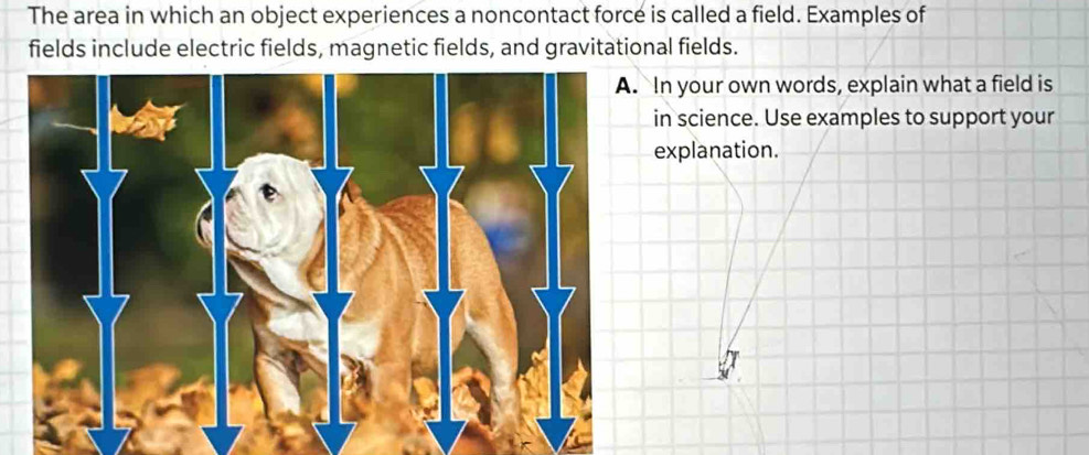Solved: The area in which an object experiences a noncontact force is ...