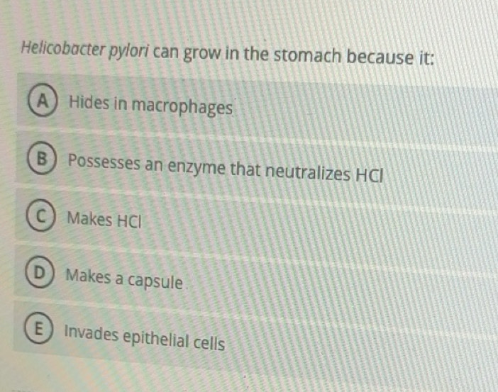 Solved: Helicobacter pylori can grow in the stomach because it: A Hides ...