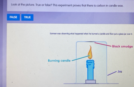 Solved: Look at the picture. True or false? This experiment proves that ...