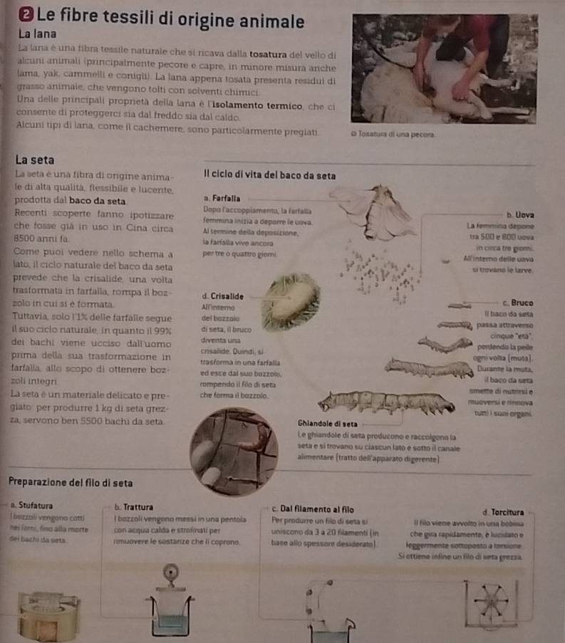Risolto: Le fibre tessili di origine animale La lana La lana è una ...