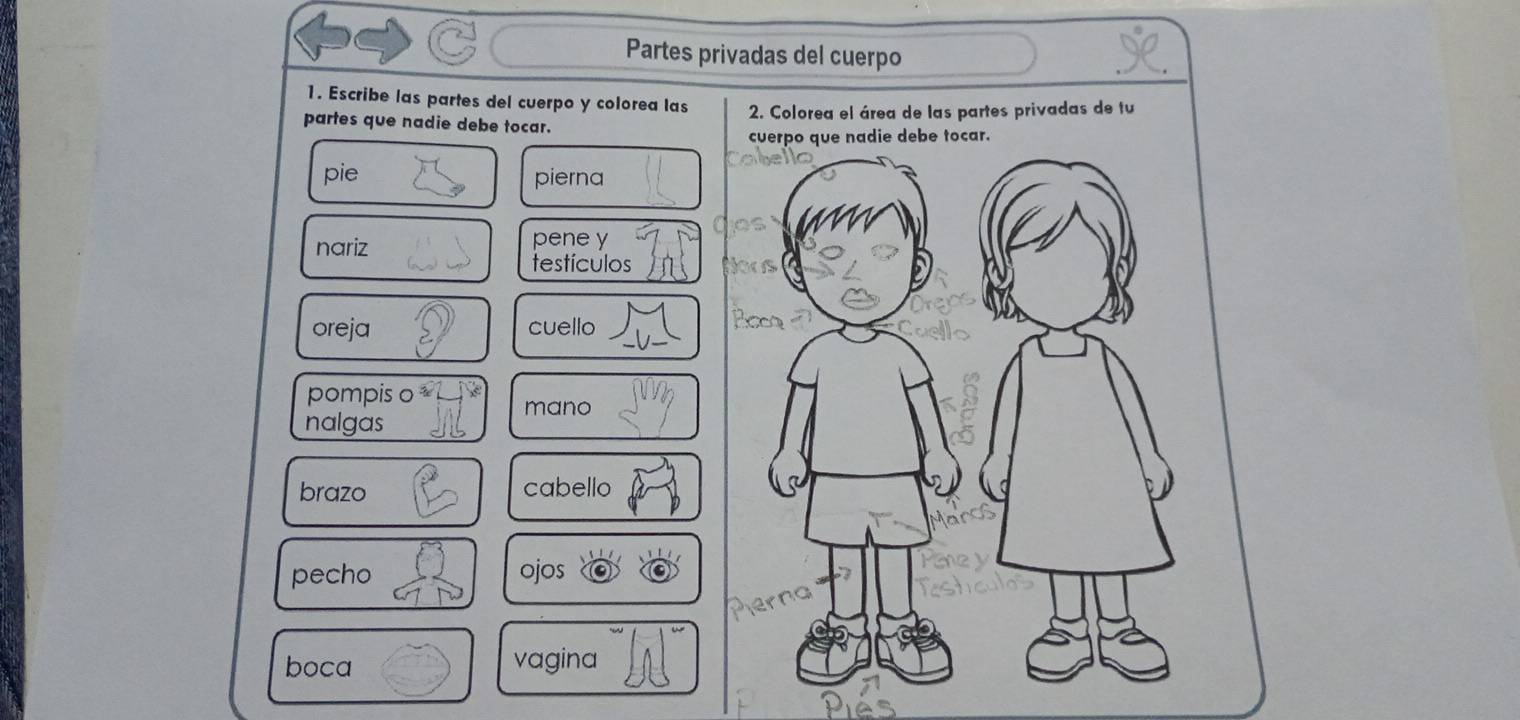 Resuelto:Partes privadas del cuerpo 1. Escribe las partes del cuerpo y ...