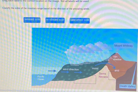 Solved: Drag each label to the correct location on the image. Not all labels will be used ...