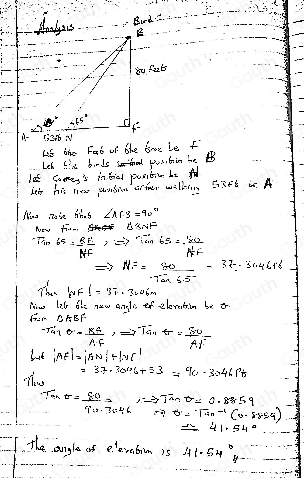 Solved: Corey spies a bald eagle in a tall tree. He estimates the ...
