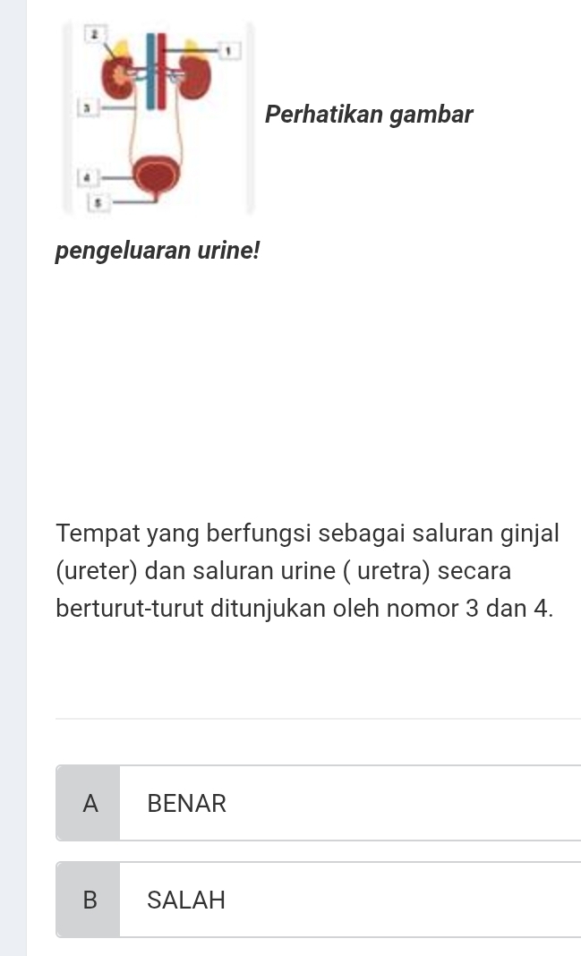 Telah dijawab:Perhatikan gambar pengeluaran urine! Tempat yang ...