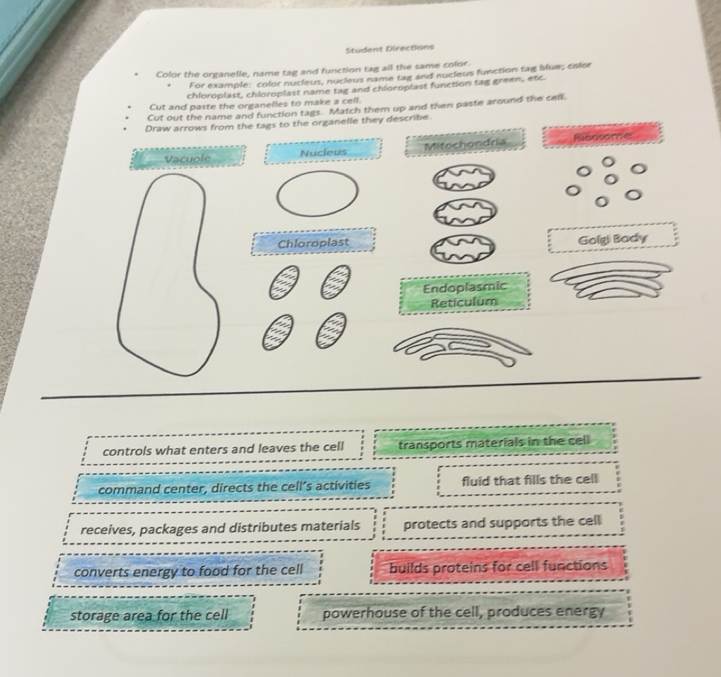 Solved: Student Directions Color the organelle, name tag and function ...