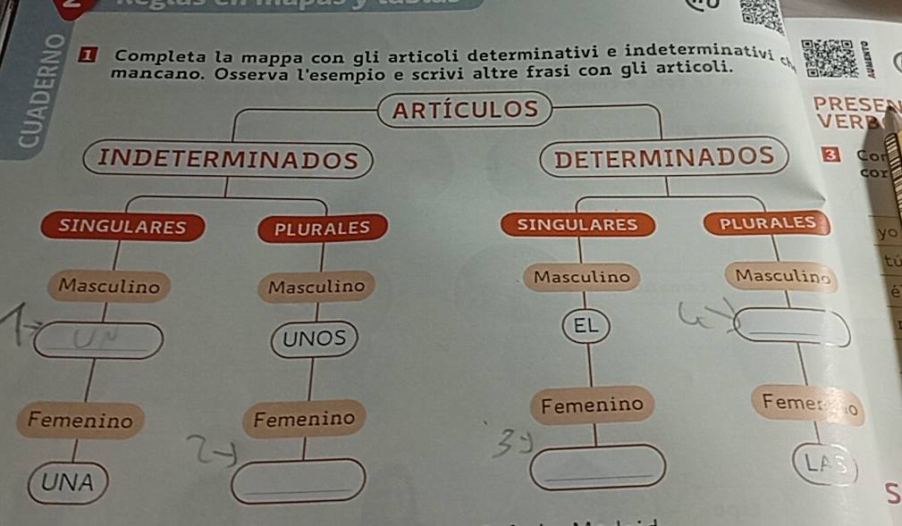 Risolto:Completa la mappa con gli articoli determinativi e ...