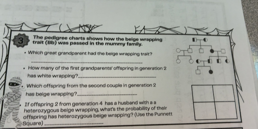Solved: The pedigree charts shows how the beige wrapping 3 trait (Bb ...