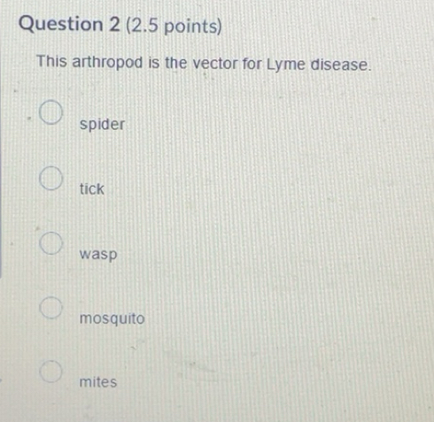 Solved: This arthropod is the vector for Lyme disease. spider tick wasp ...