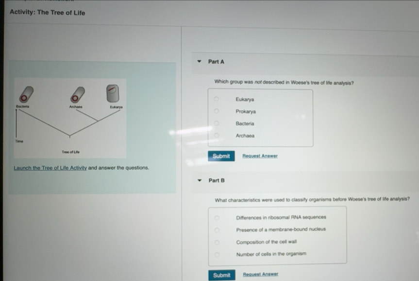 Solved: Activity: The Tree of Life Part A Which group was not described ...