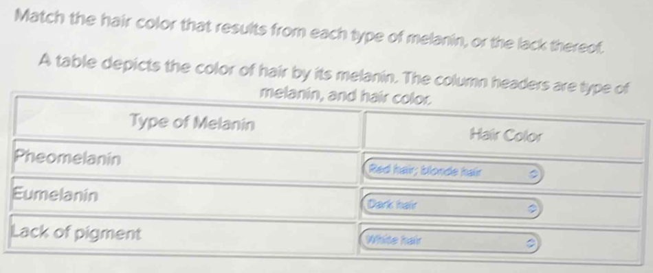 Solved: Match the hair color that results from each type of melanin, or ...