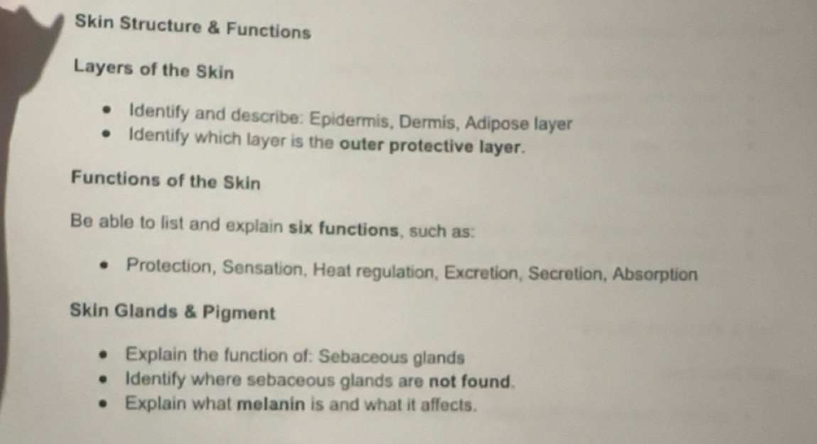 Solved: Skin Structure & Functions Layers of the Skin Identify and ...