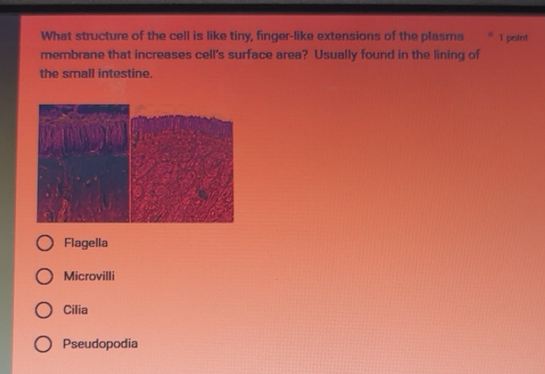 Solved: What structure of the cell is like tiny, finger-like extensions ...