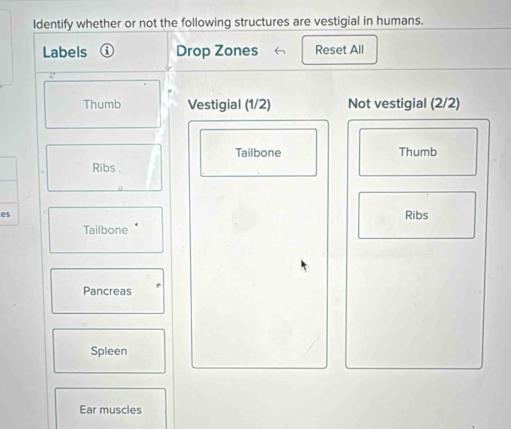 Solved: Identify whether or not the following structures are vestigial ...