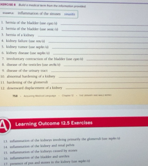 Solved: XERCISE 8 Build a medical term from the information provided ...