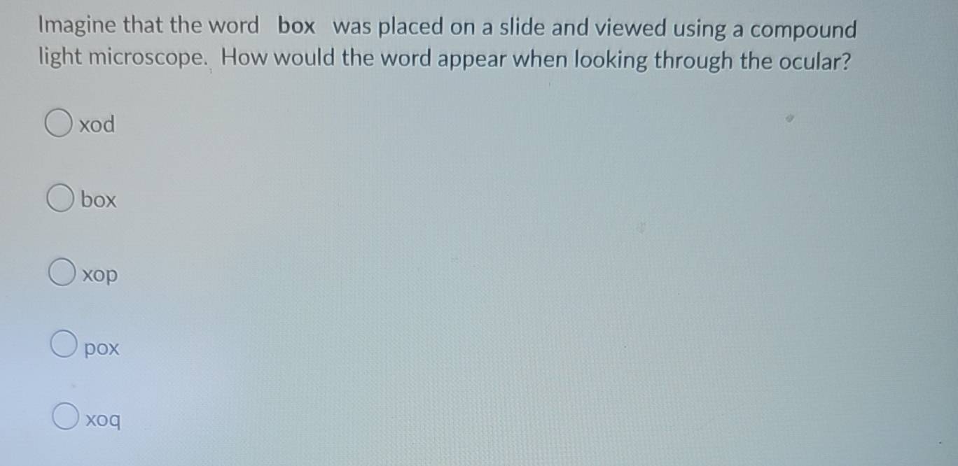 Solved: Imagine that the word box was placed on a slide and viewed ...