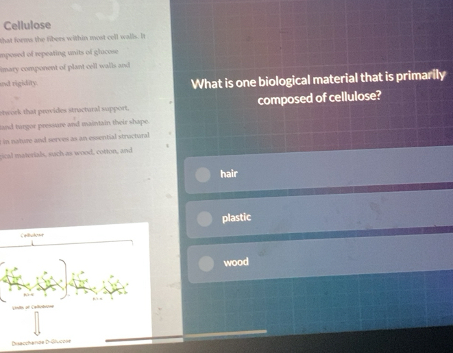 Solved: Cellulose that forms the fibers within most cell walls. It ...