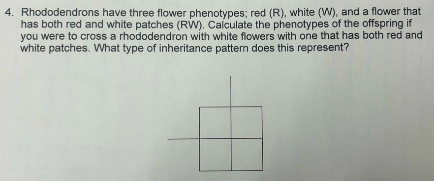 Solved: Rhododendrons have three flower phenotypes; red (R), white (W ...