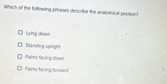 Solved: Which of the following phrases describe the anatomical position ...