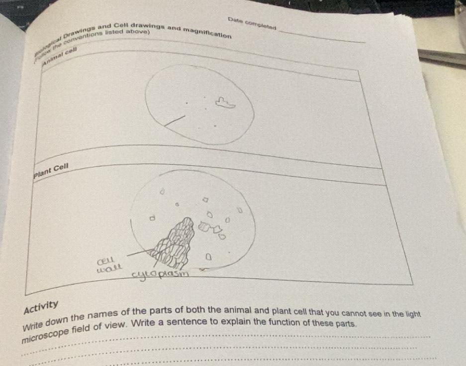 Solved: Date completed eelegical Drawings and Cell drawings and ...
