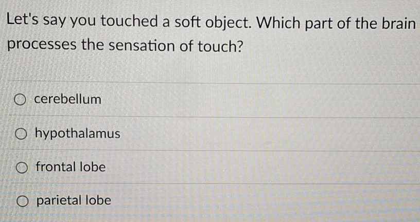 Solved: Let's say you touched a soft object. Which part of the brain ...