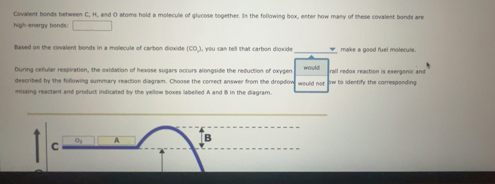 Solved: Covalent bonds between C, H, and O atoms hold a molecule of ...