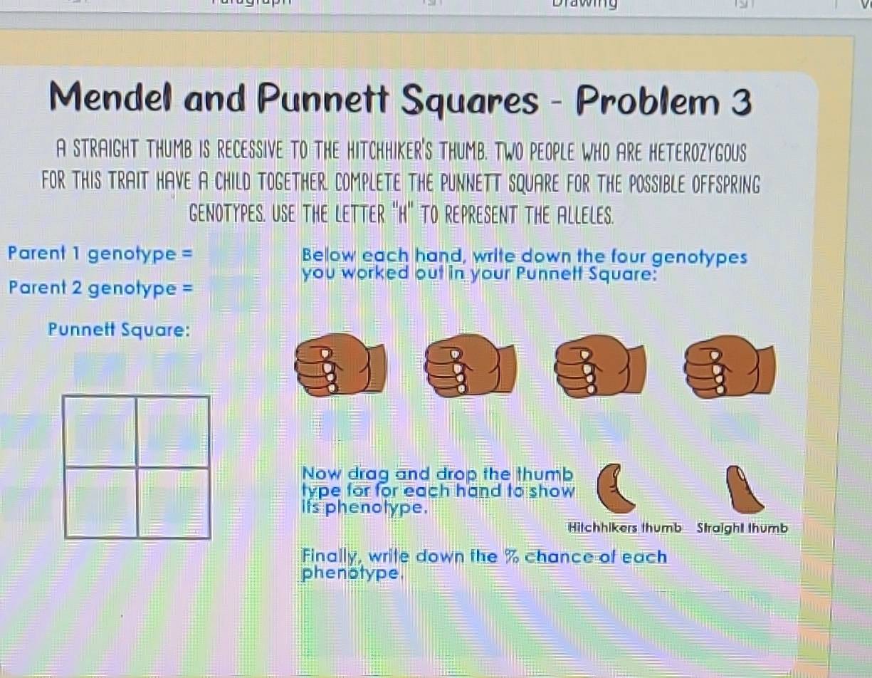 Solved: Drawing Mendel and Punnett Squares - Problem 3 A STRAIGHT THUMB ...