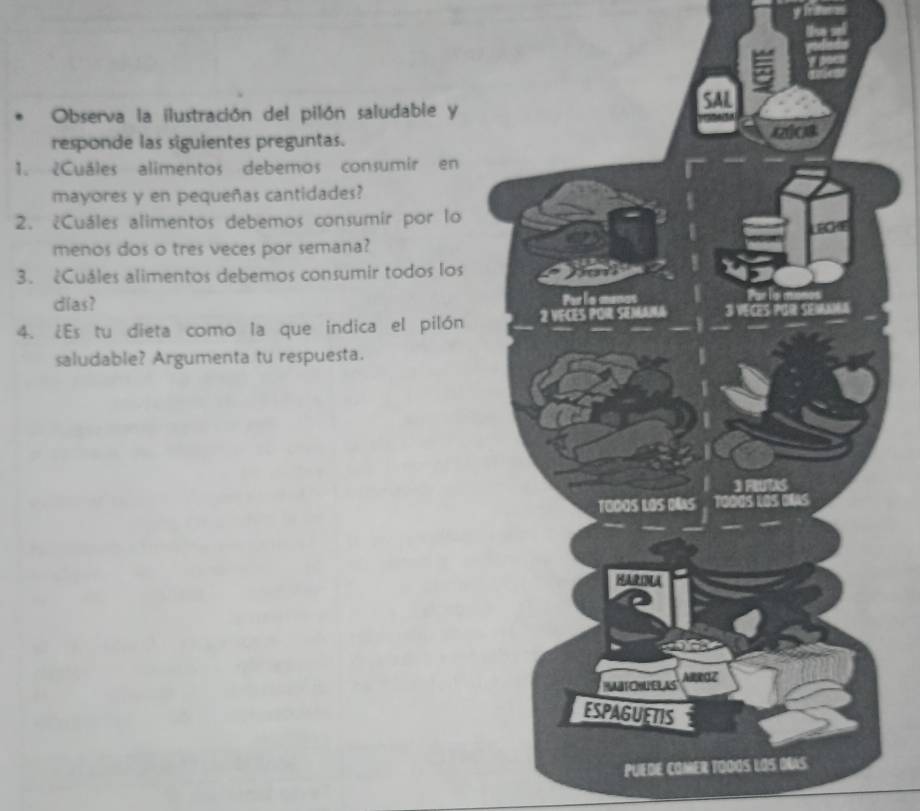 Resuelto:Observa la ilustración del pilón saludable y responde las ...