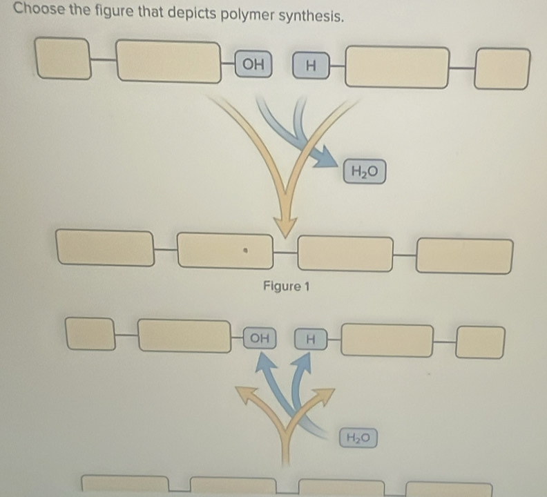 Solved: Choose the figure that depicts polymer synthesis. OH H° H_2O ...