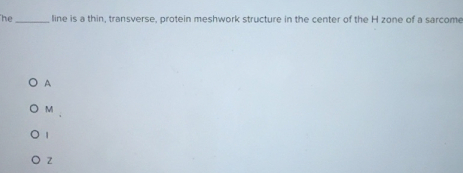 Solved: he _line is a thin, transverse, protein meshwork structure in ...