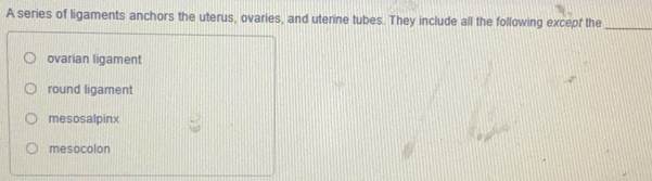 Solved: A series of ligaments anchors the uterus, ovaries, and uterine ...