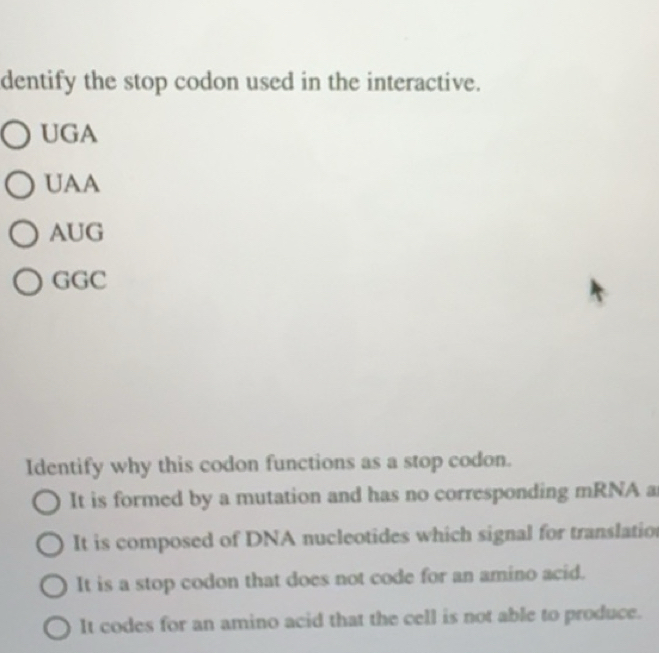 Solved: dentify the stop codon used in the interactive. UGA UAA AUG GGC ...