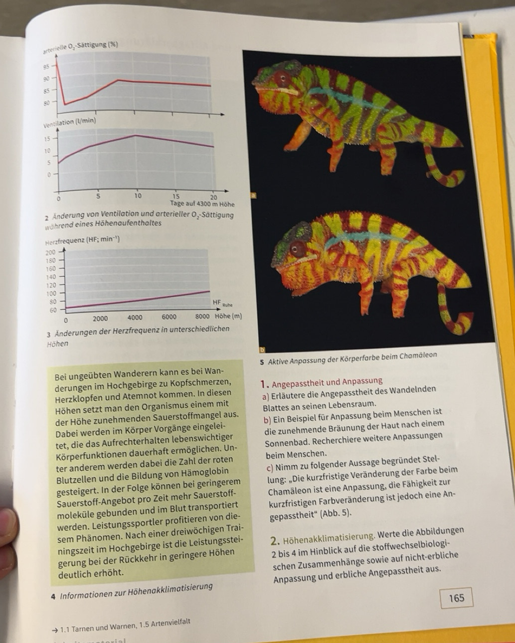 Gelöst:arterielle O.-Sättigung (%) g5 90 85 80 Ventilation (l/min) 15 ...