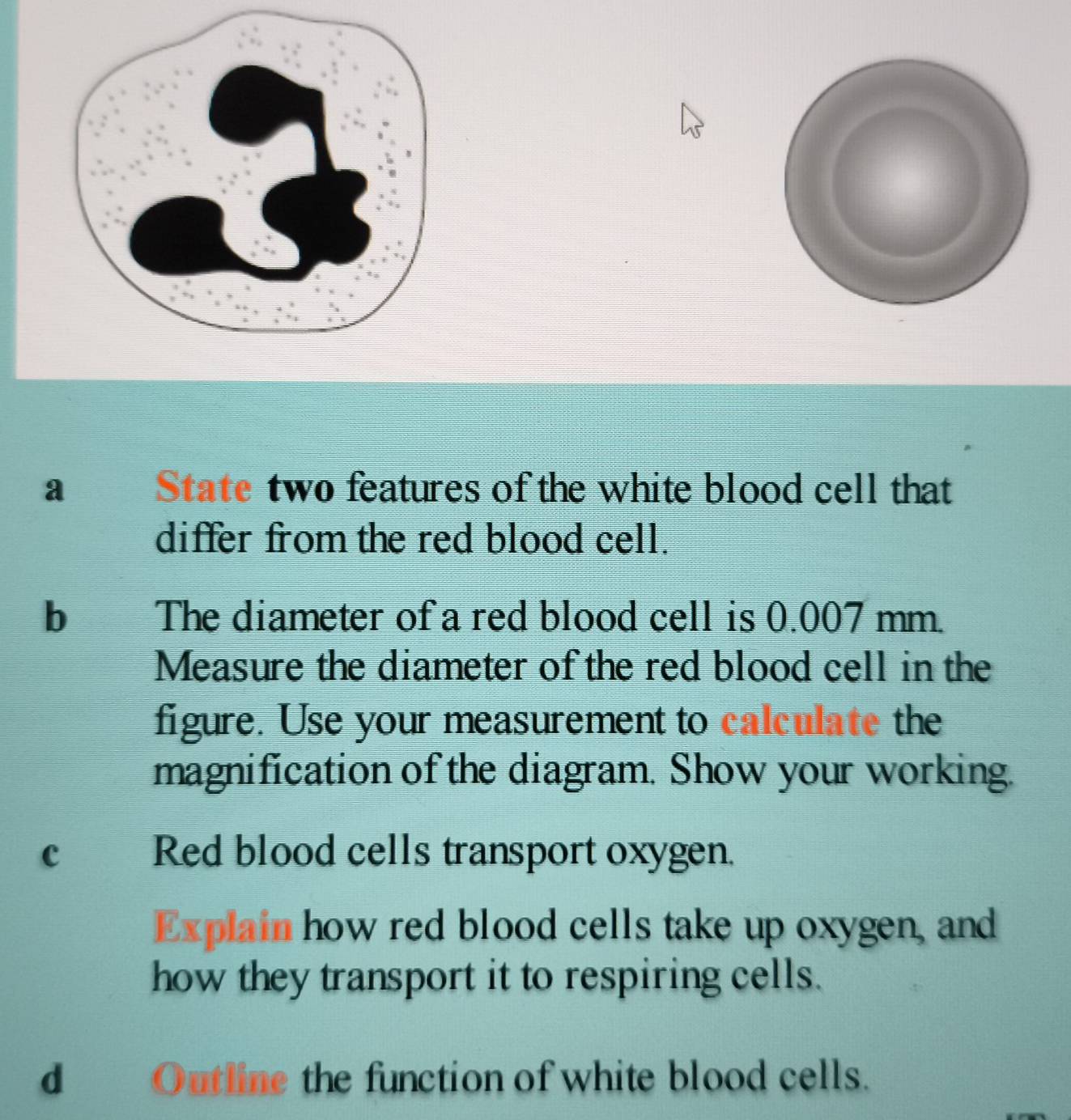 Selesai:a State two features of the white blood cell that differ from ...