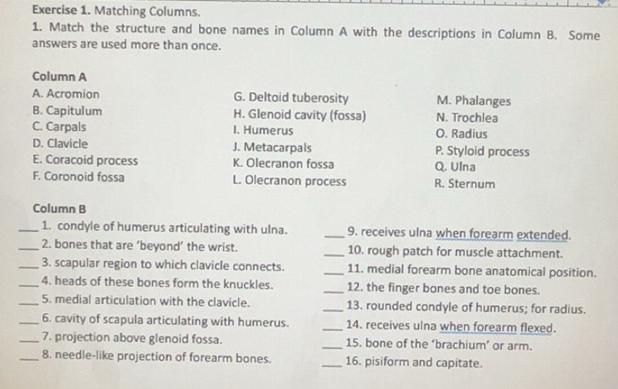 Solved: Matching Columns. 1. Match the structure and bone names in ...