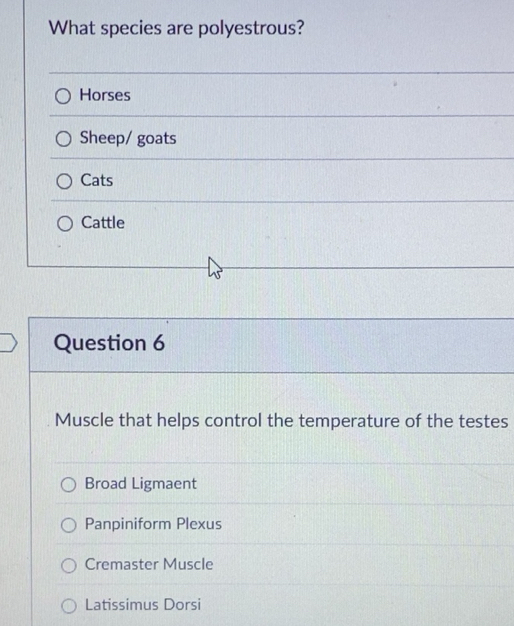 Solved: What species are polyestrous? Horses Sheep/ goats Cats Cattle ...