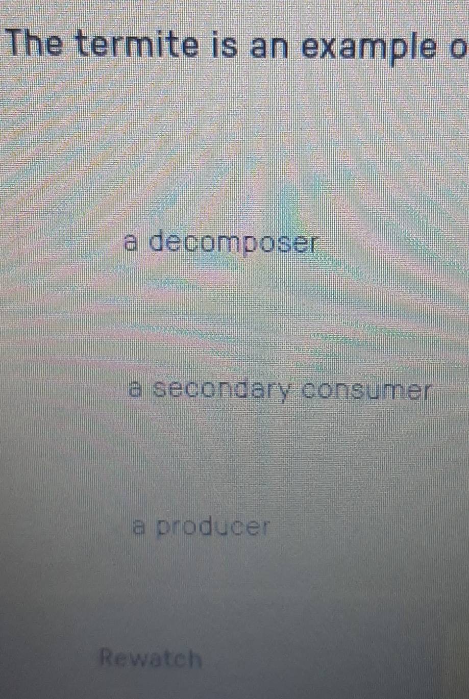 Solved: The termite is an example o a decomposer a secondary consumer a ...