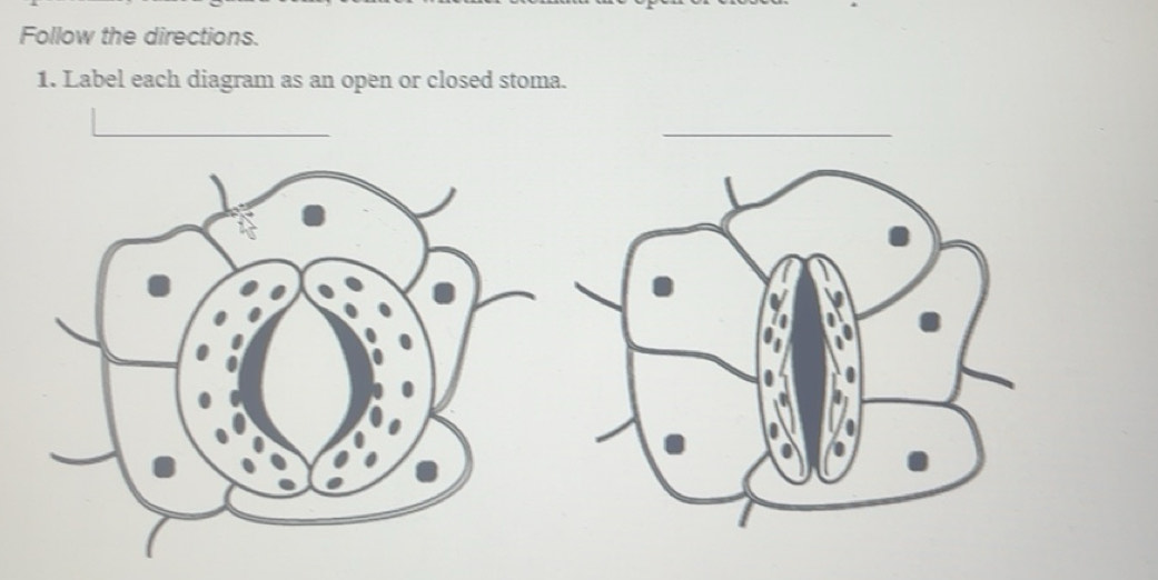 Resuelto:Follow the directions. 1. Label each diagram as an open or ...