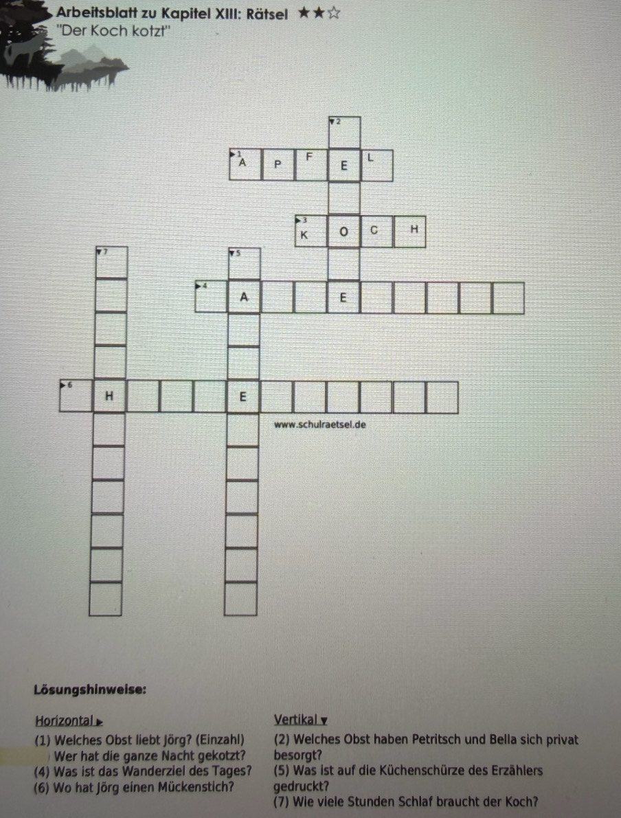 Gelöst:Arbeitsblatt zu Kapitel XIII: Rätsel 'Der Koch kotzt ...