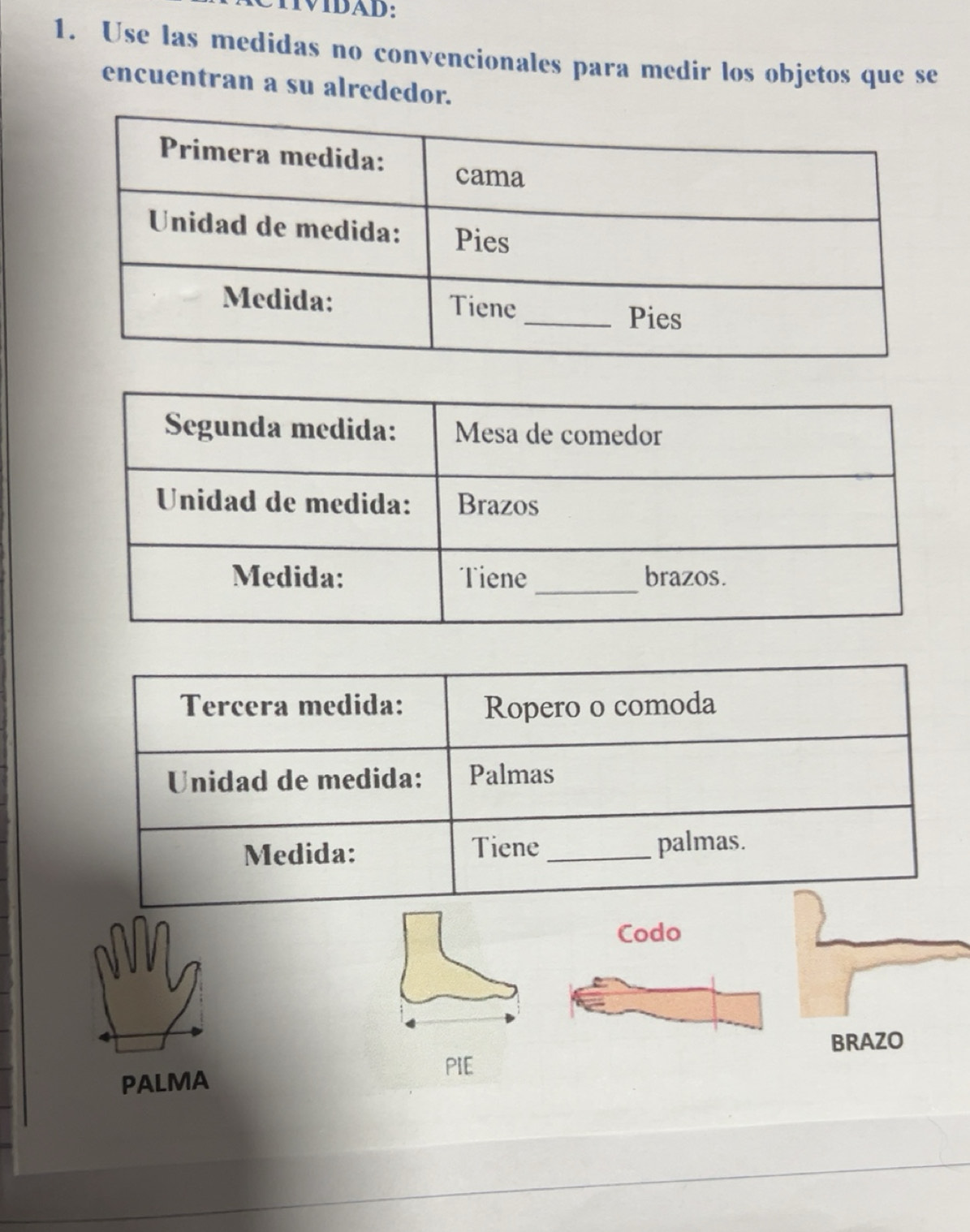 Resuelto:TIVIDAD: 1. Use las medidas no convencionales para medir los ...