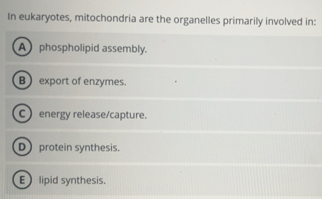 Solved: In eukaryotes, mitochondria are the organelles primarily ...