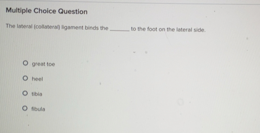 Solved: Question The lateral (collateral) ligament binds the _to the ...