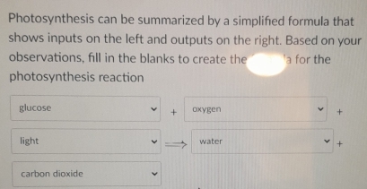 Solved: Photosynthesis can be summarized by a simplifed formula that ...