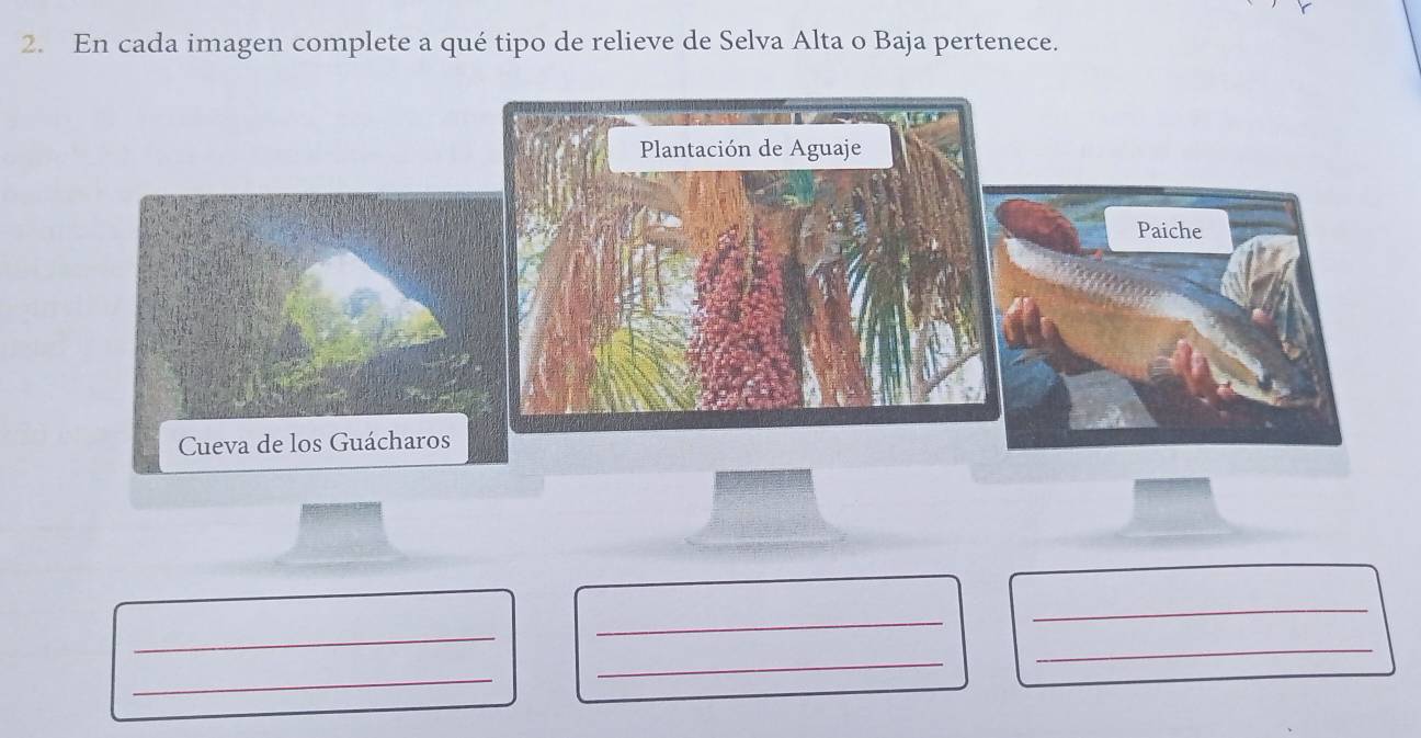 Resuelto:En cada imagen complete a qué tipo de relieve de Selva Alta o ...