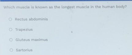 Solved: Which muscle is known as the longest muscle in the human body ...