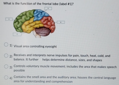 Solved: What is the function of the frontal lobe (label #1)? 1) Visual ...