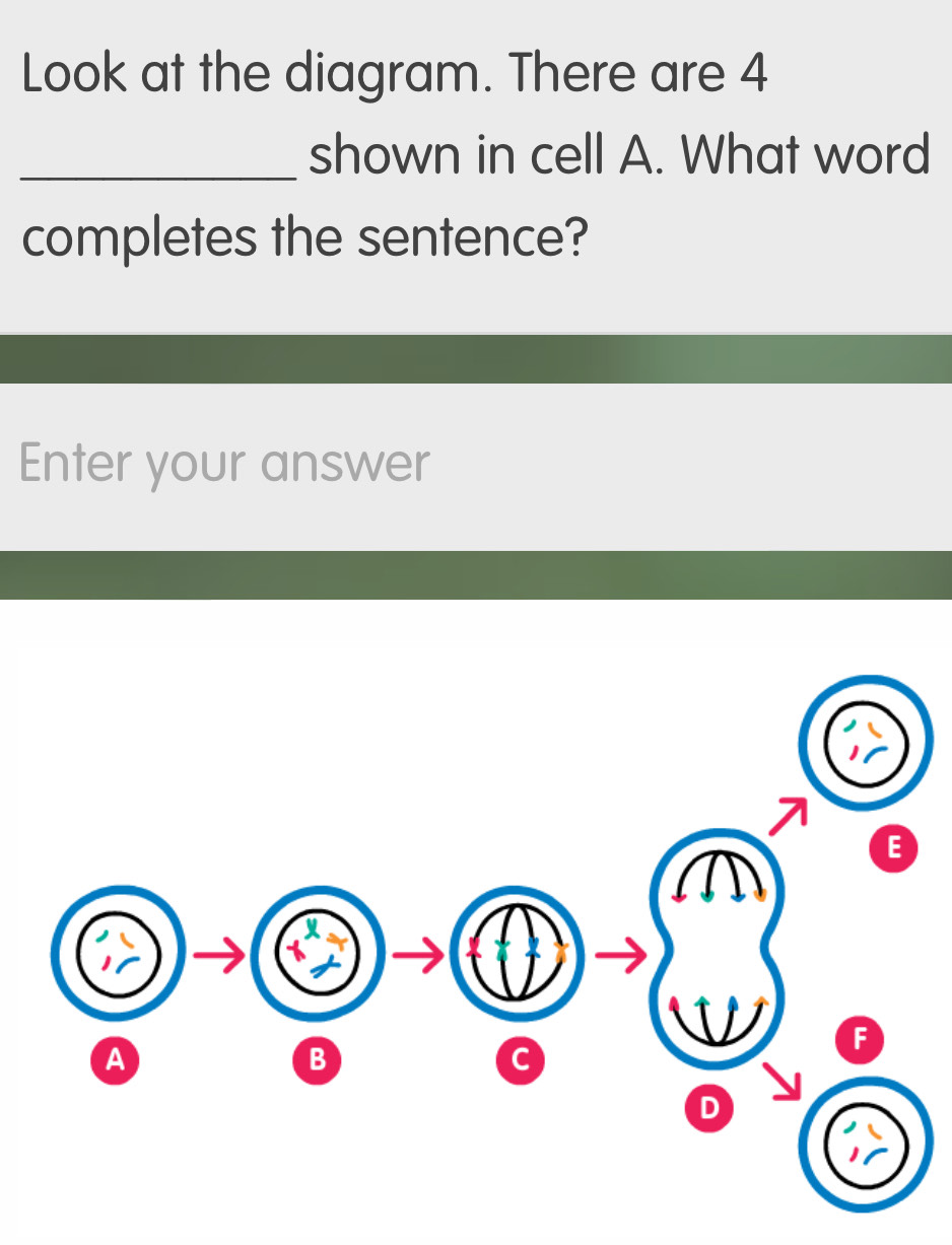 Solved: Look at the diagram. There are 4 _shown in cell A. What word ...
