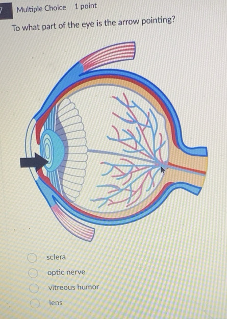 Solved: To what part of the eye is the arrow pointing? sclera optic ...