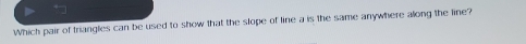 Solved: Which pair of triangles can be used to show that the slope of ...