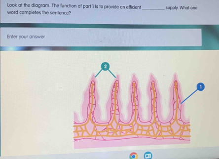 Solved: Look at the diagram. The function of part 1 is to provide an ...