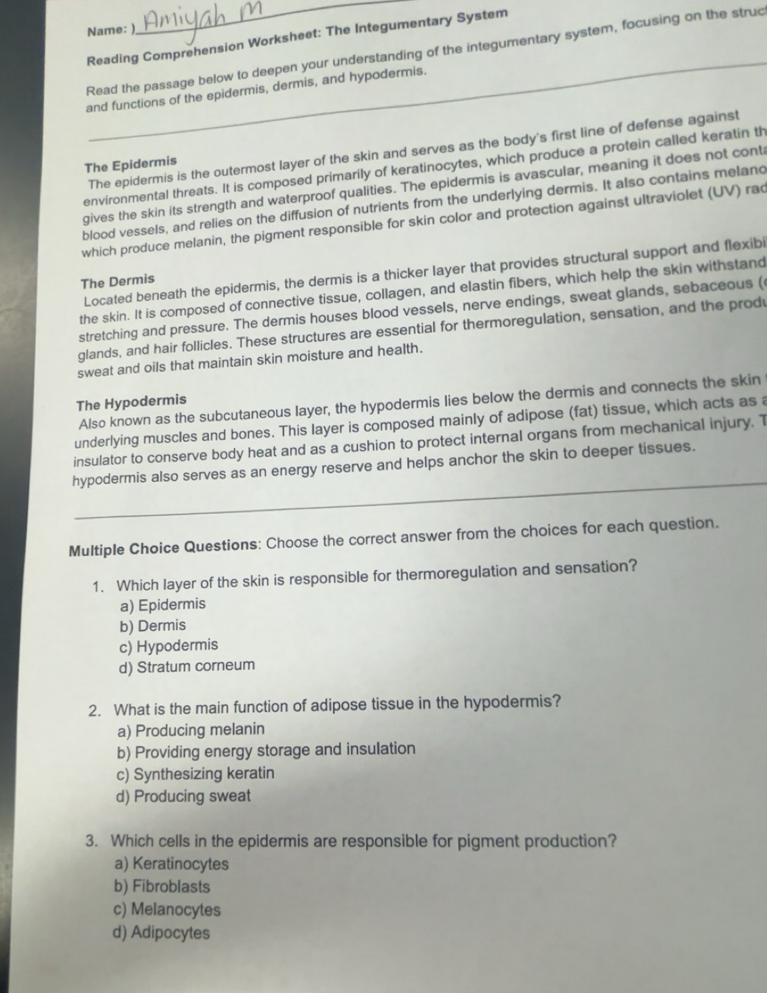 Solved: Name: ) _ Reading Comprehension Worksheet: The Integumentary ...